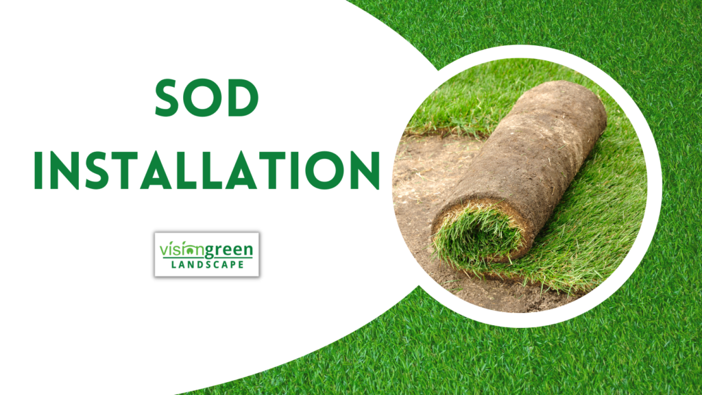sod installer charlotte - Vision Green Landscape