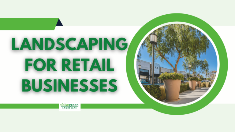 Landscaping Services for Retail Stores in Charlotte, NC | Vision Green Landscape