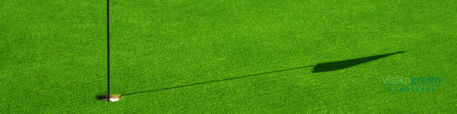 Backyard Putting Green Installation Services | Vision Green Landscape