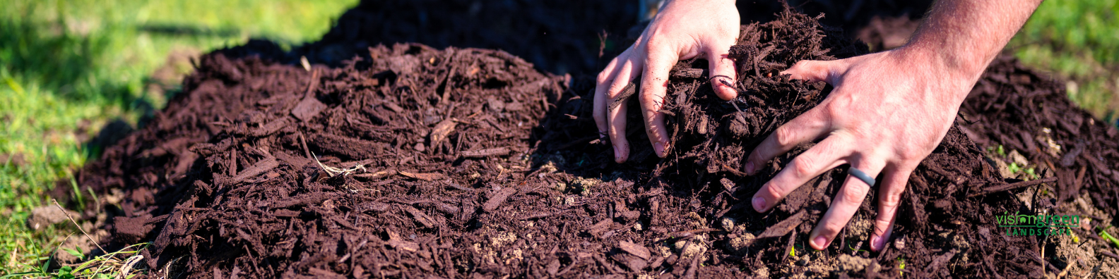 Pine Straw vs. Mulch in Charlotte, NC | Vision Green Landscape